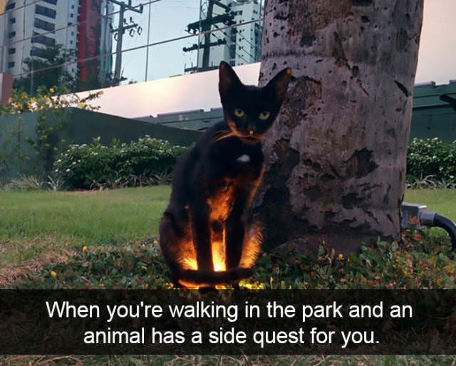 Things that are Funny (100 Pics) - YourDestinationNow