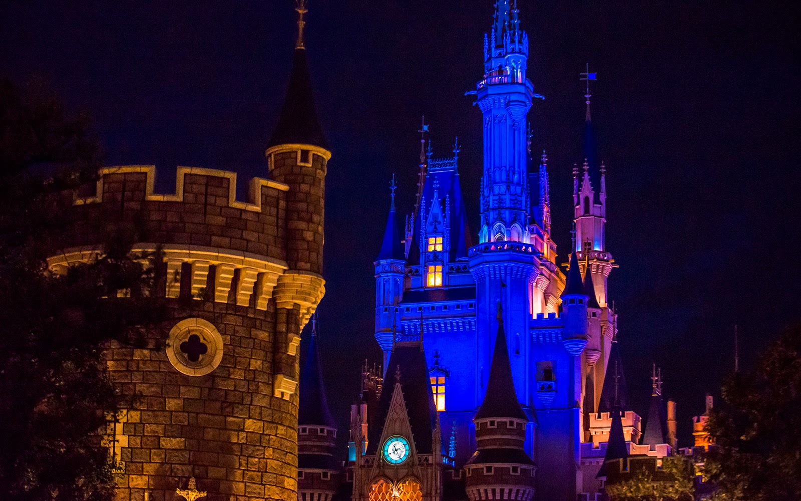 Castle from the Treehouse