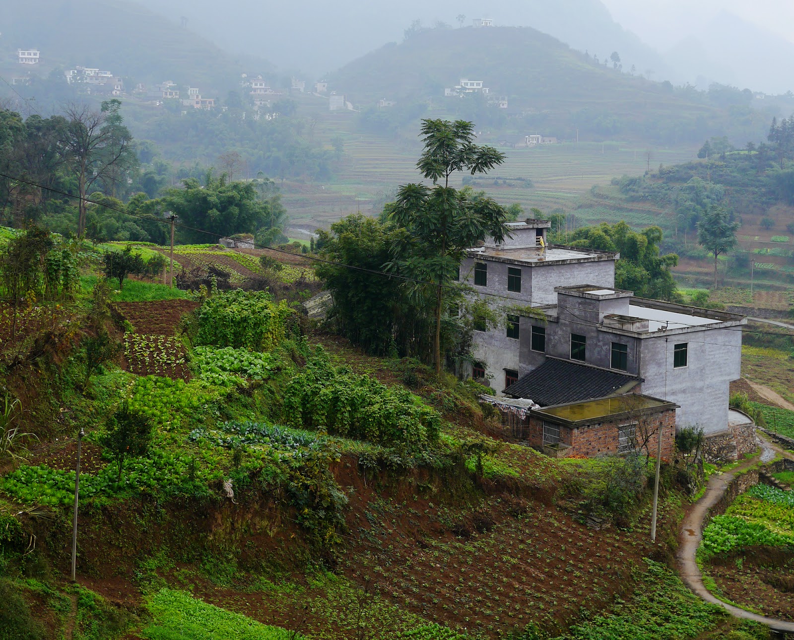 Having a Wonderful Time, Please Send Money: Hanging Coffins of the Bo ...