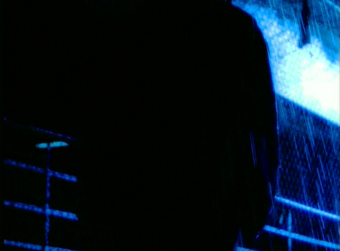 John Kenneth Muir's Reflections on Cult Movies and Classic TV