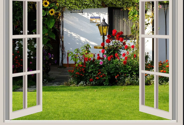 Character Sketch of Vera in the Open Window