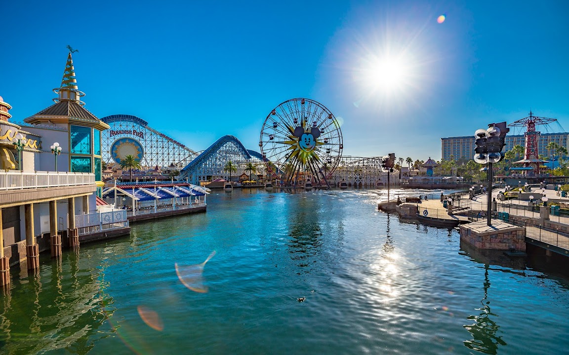 Disney Photoblography