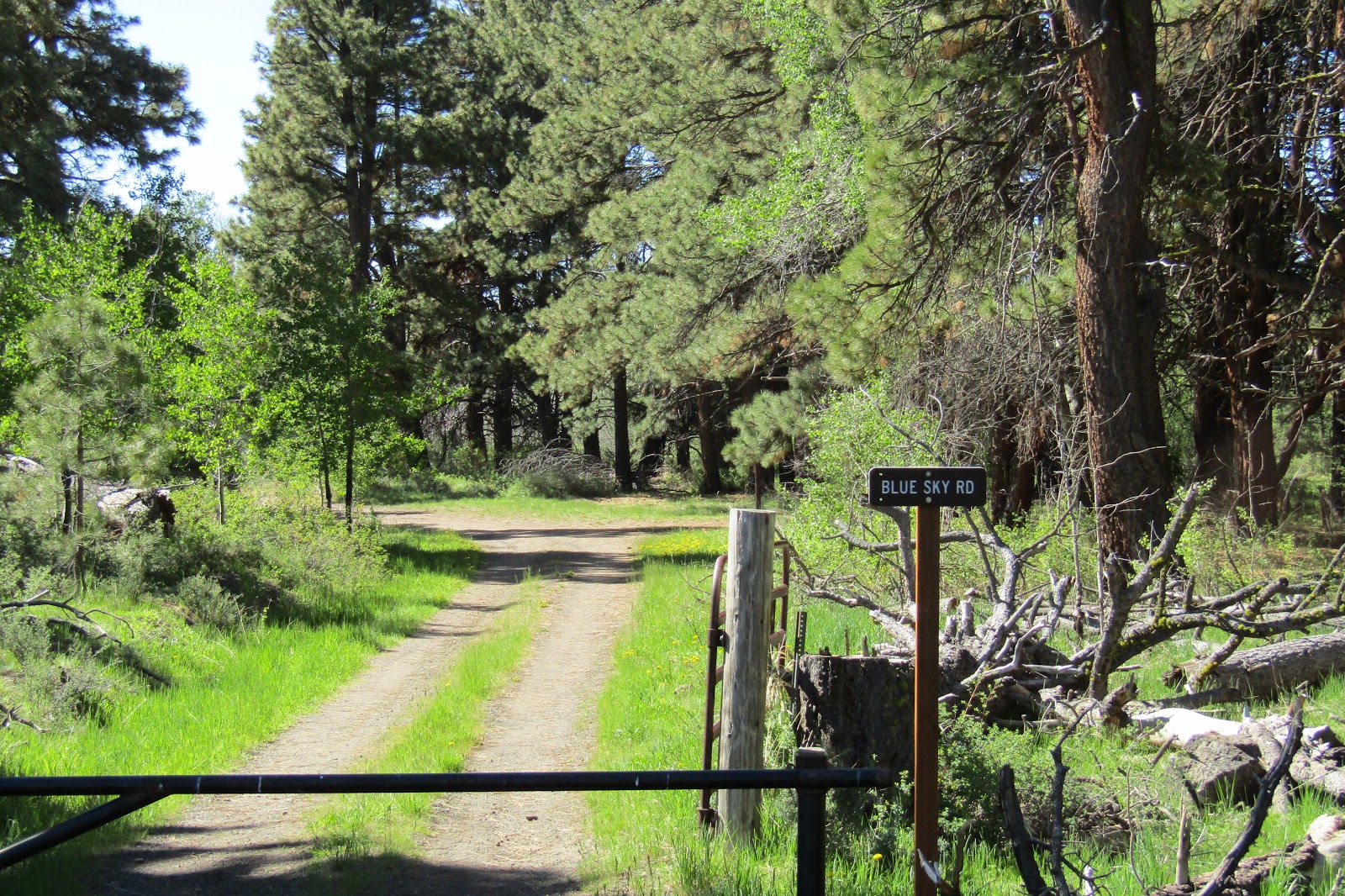 Holly's Horse Tales and Trails: Post Meadows Horse Camp, Hart Mountain ...