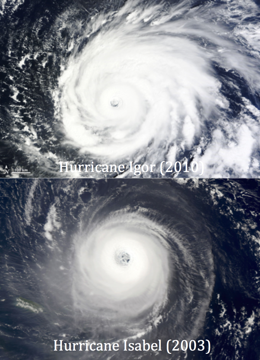 Professor Quibb: Annular Tropical Cyclones