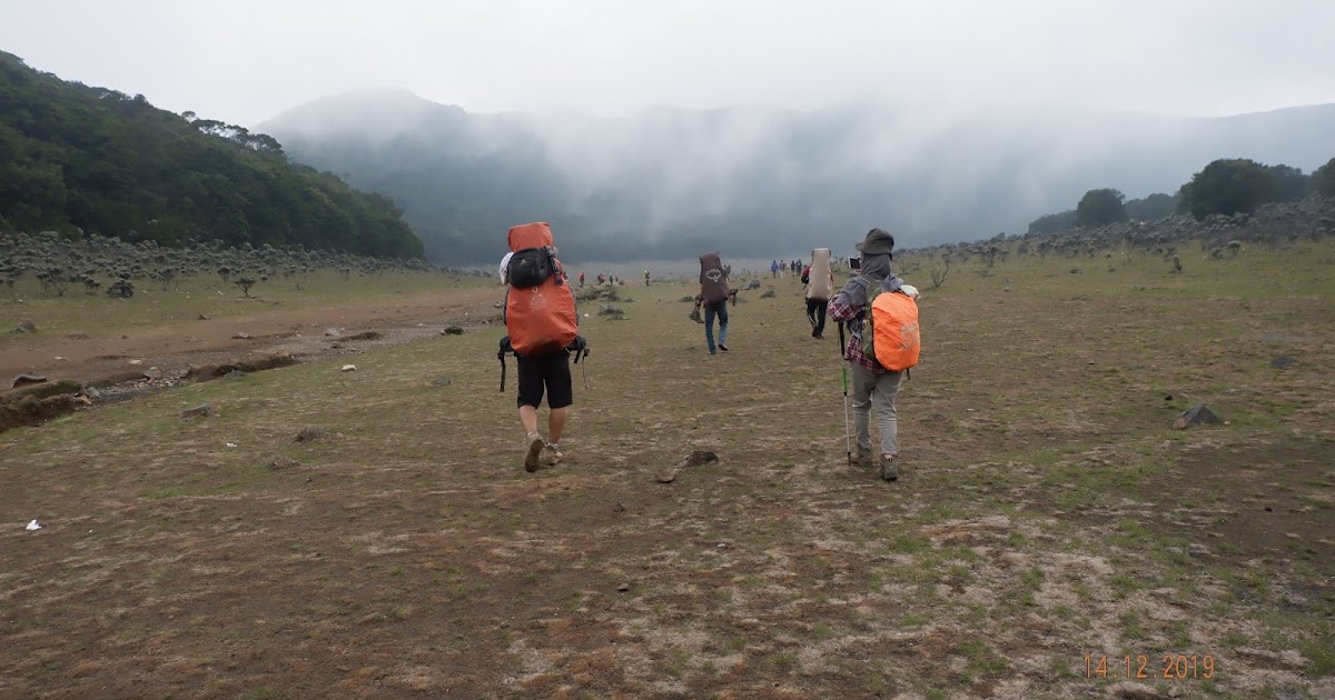 Gunung Gede Bogor Naik via Jalur Putri Menyiksa, Turun via Jalur Cibodas Menyeramkan di Malam Hari