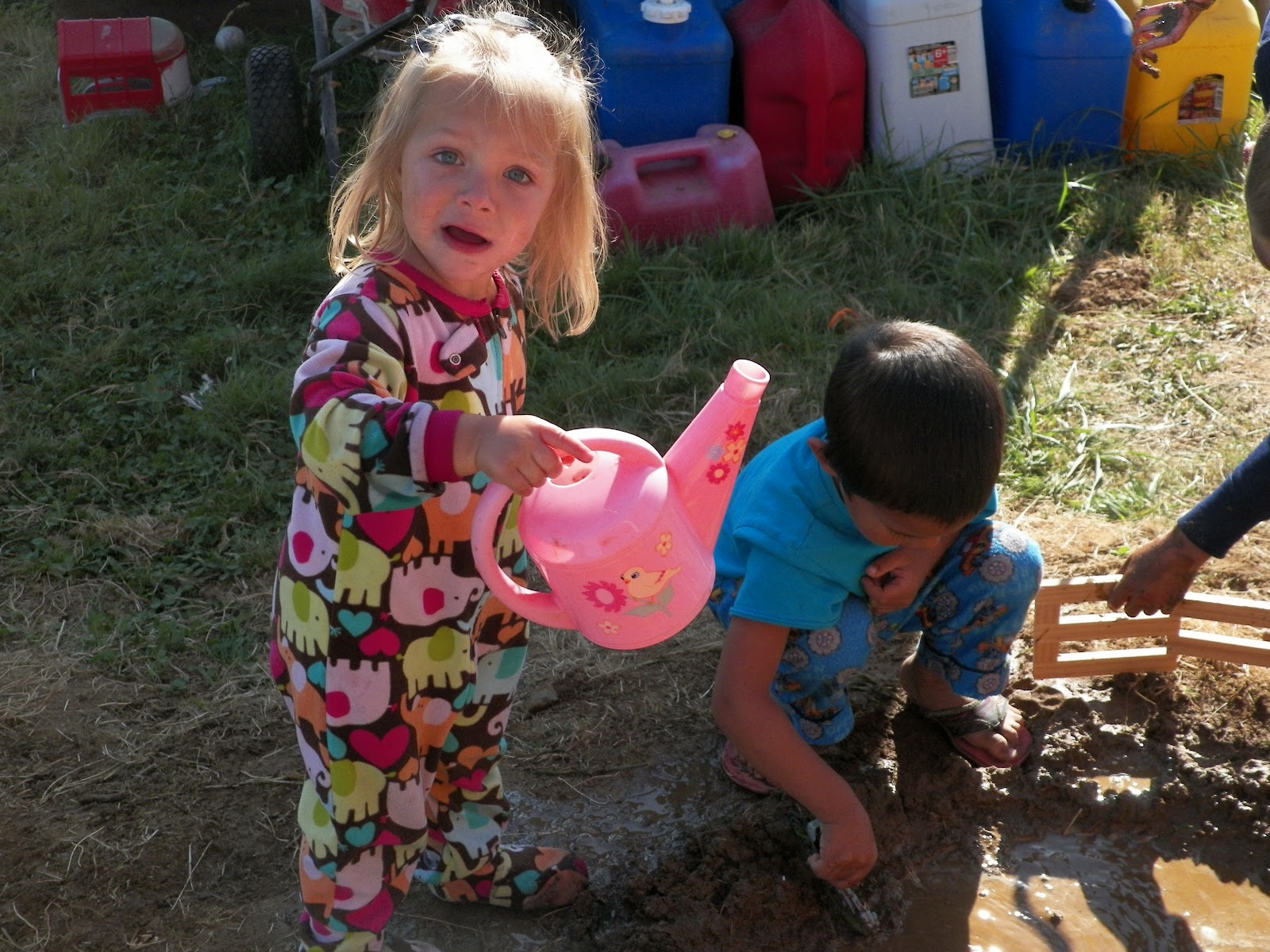 From Cedar Pond to Laughing Dove Farm : Mud Buddies