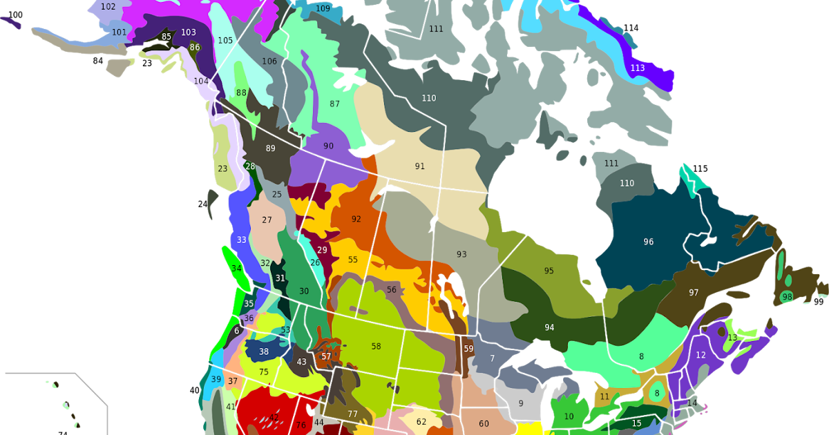 Terrestrial Ecoregions of North America