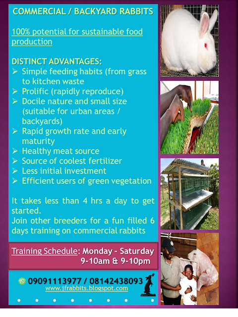 Commercial Rabbitry Training