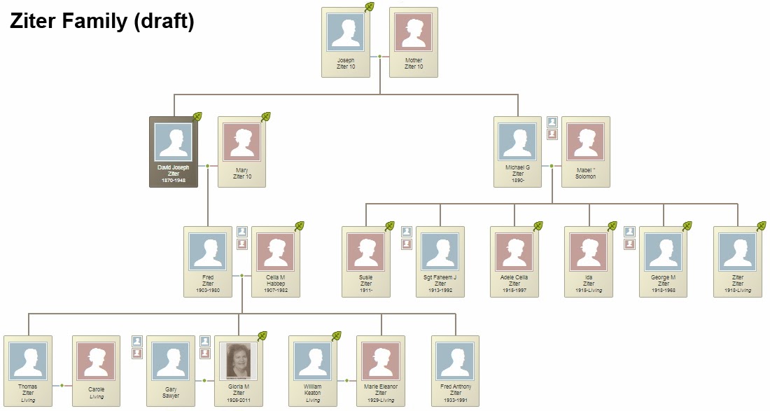 my big Lebanese family: Family Trees