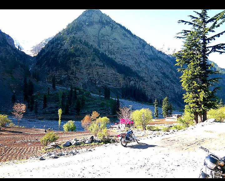 Breathtaking Madaklasht ~ COMMUNAL BUGS