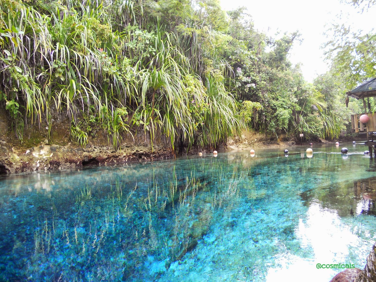 deTouRs n yumMieS: Be enchanted by the Enchanted River