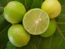 Herbs-Treat and Taste: MEETHAY FRUIT - TYPE OF PERSIAN LIME: HEALTH ...