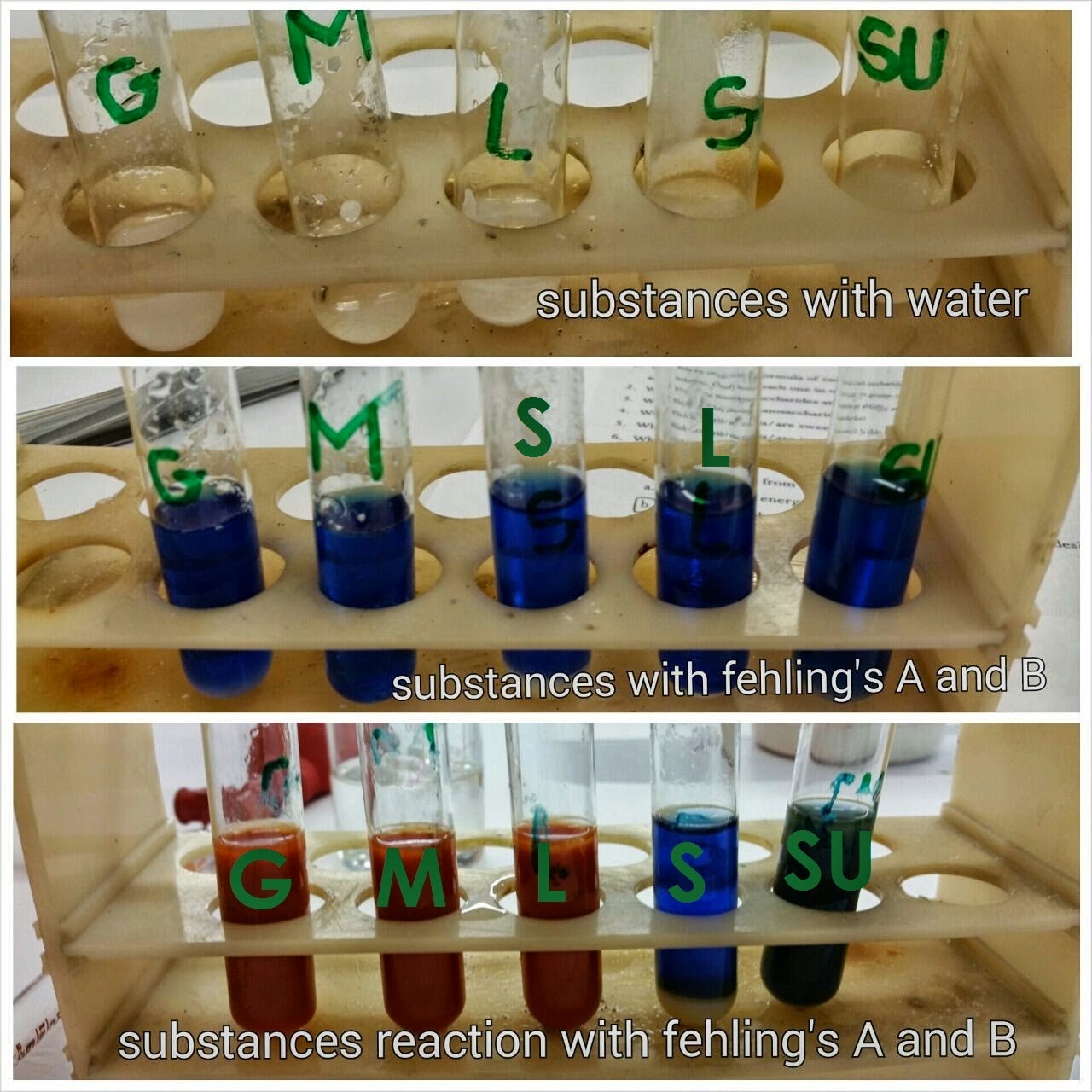 Ignacio Maestre Science Lab!: P6. Fehling's test: reducing sugars