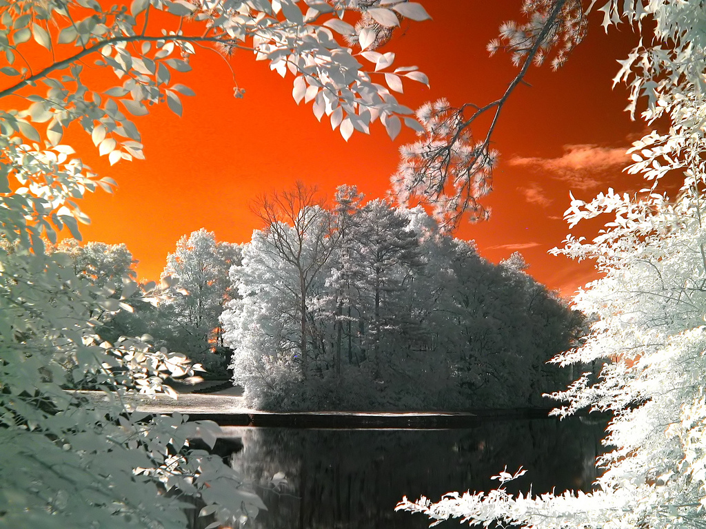 >: Infrared Photography