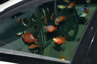 Amazing Magazine: Car turned into a fish tank aquarium