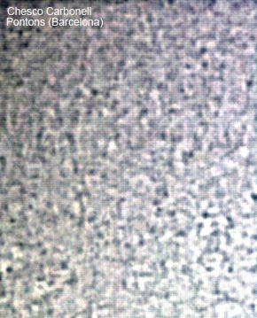 Vistas al Universo: El Sol..La luz de la vida y sus Manchas.