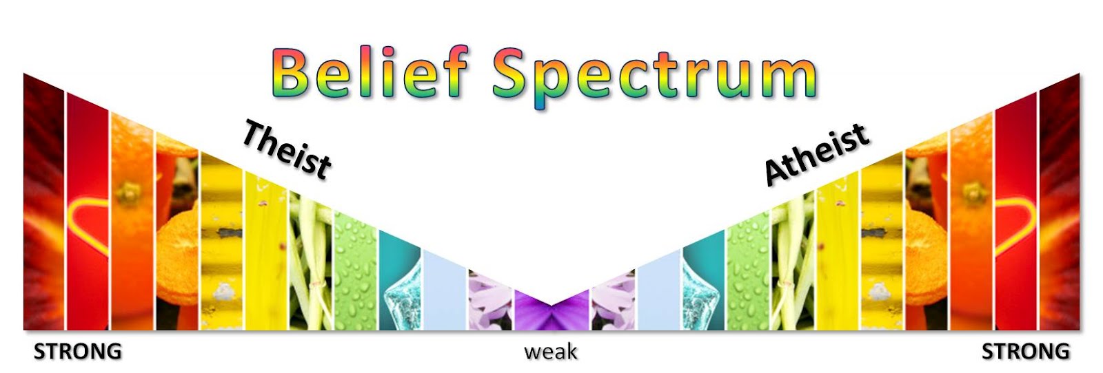 Life Colloquy: The Power of Scripture