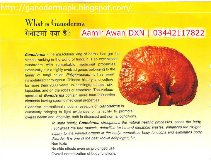 What is ganoderma