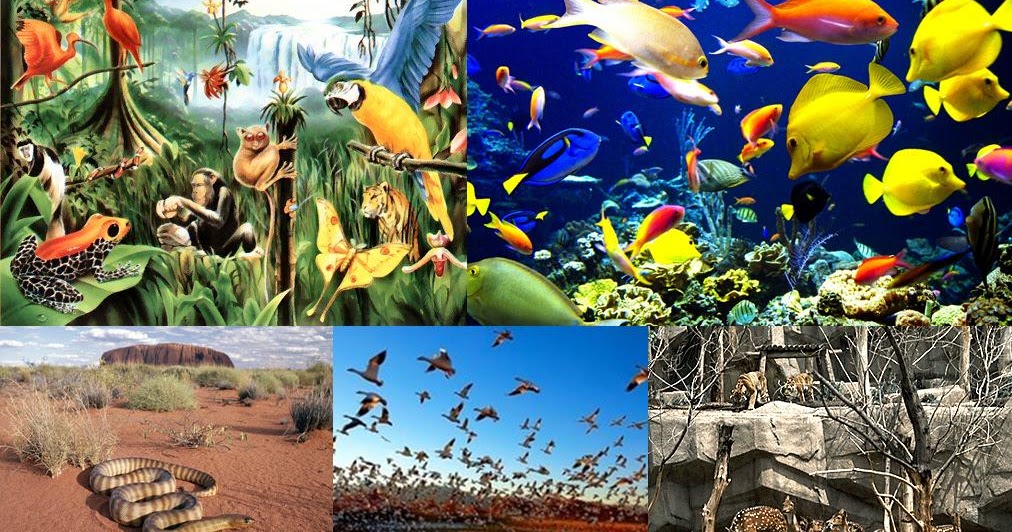 My Natural Science blog: 5th Grade. What's an ecosystem?