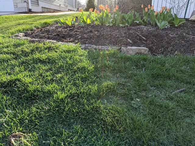 Floating Mulch Flagstone Retaining Ledge Installation