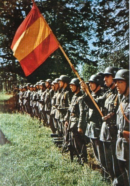 KRIPTEIA MILITES HISPANI: KRASNY BOR, GLORIA PARA LA DIVISIÓN AZUL.