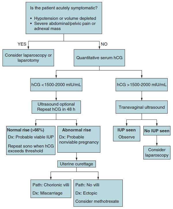 Emergency Medicine Ectopic Pregnancy Case File