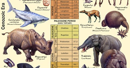Geological Time and The History of Life ~ Klima Naturali™