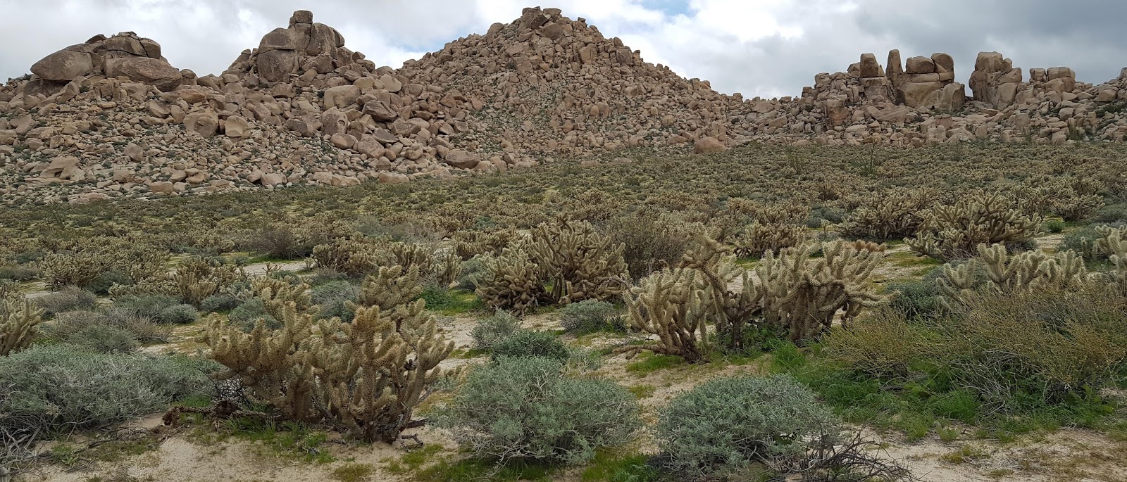 ARMCHAIR HIKER SAN DIEGO & MORE: Ancient Yoni Fertility rock carving in ...