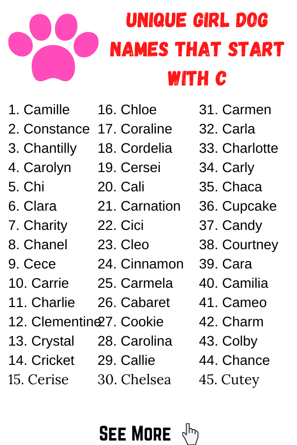 Dog Names That Start With C For Girl And Boy Dog Your Hop dog-names-that-start-with-c-for-girl-and-boy-dog-your-hop
