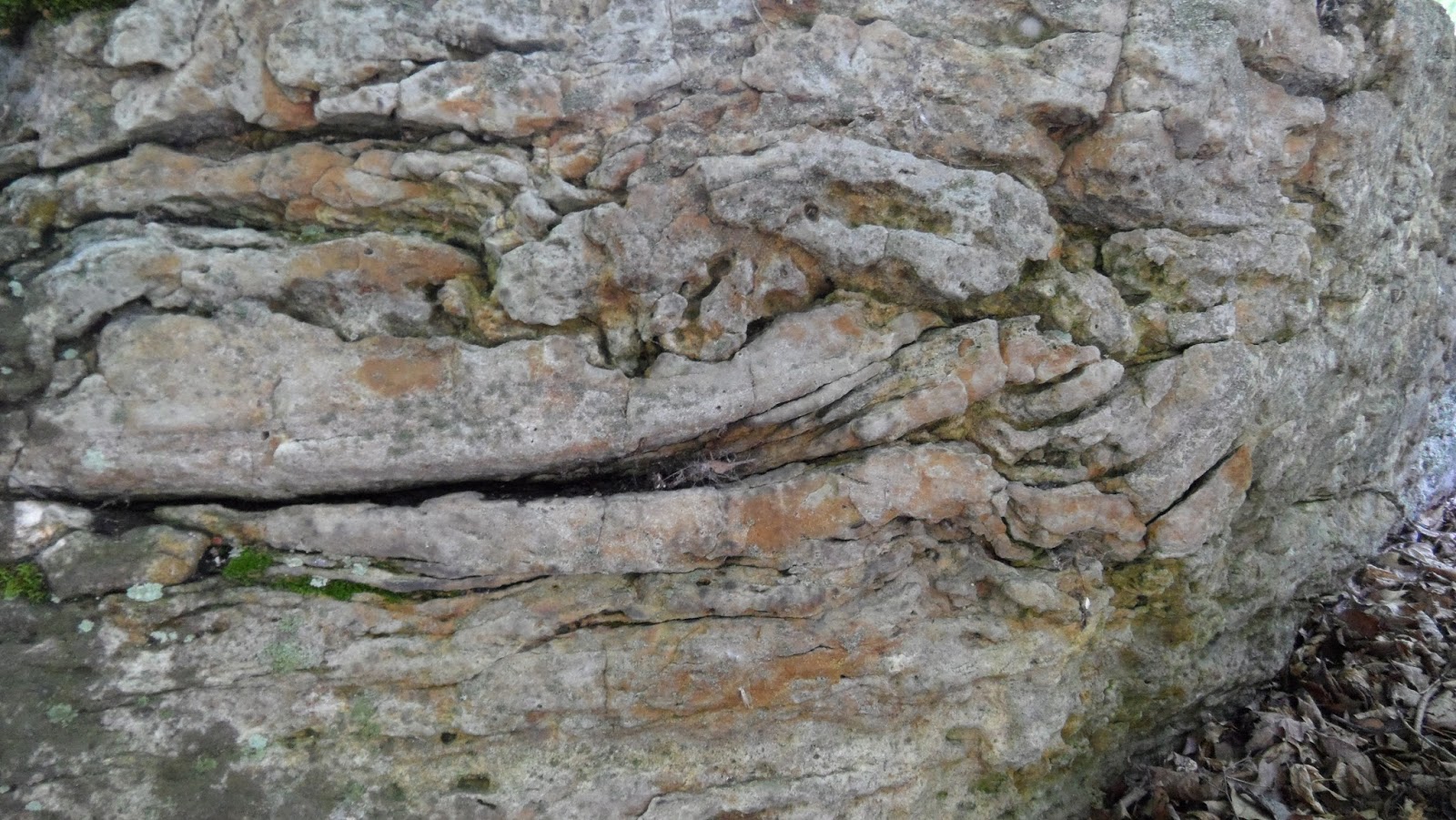 Fossils and Geology of Lanark County, Ontario: Soft-Sediment ...