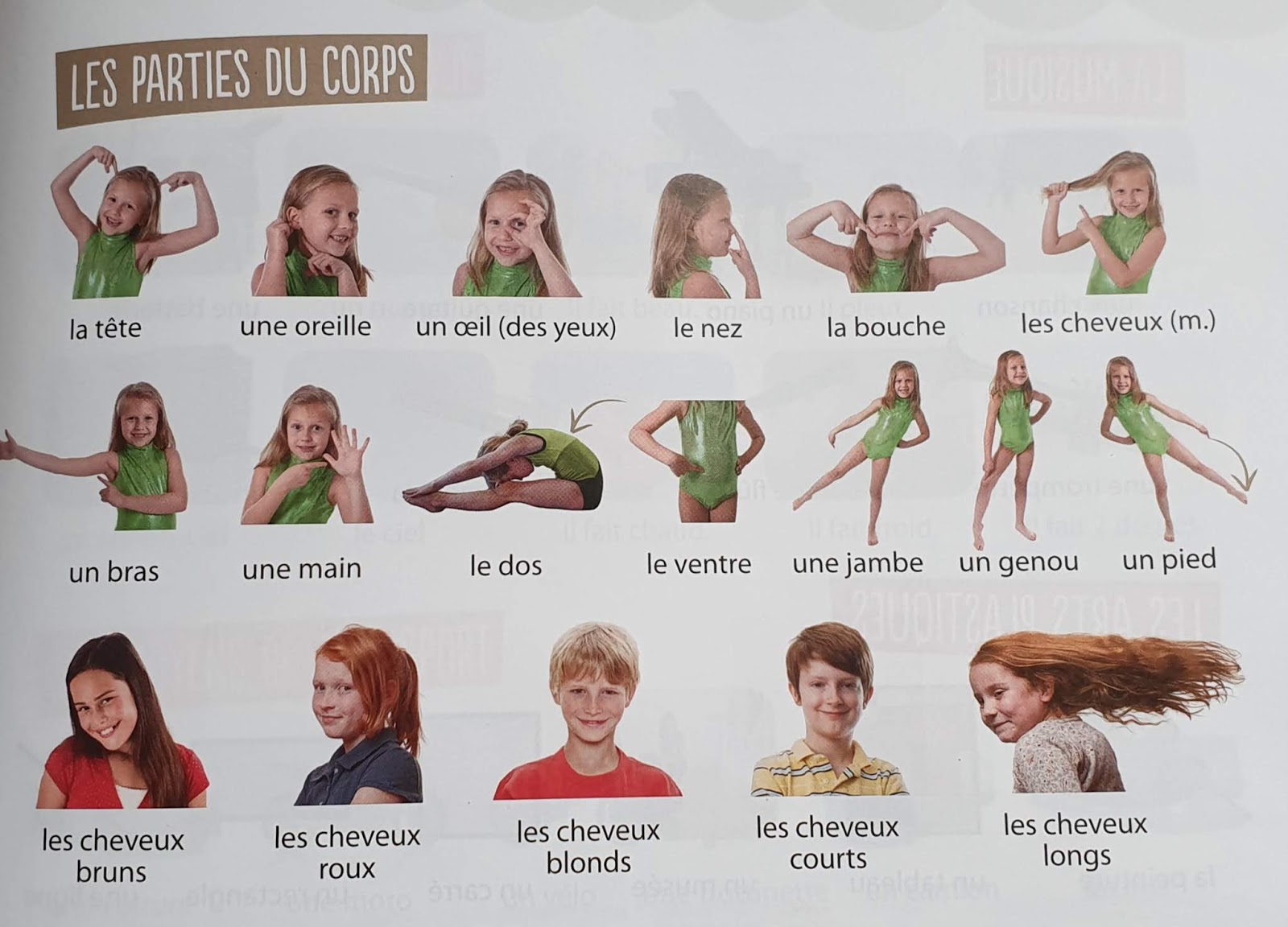 FRANÇAIS: 2019