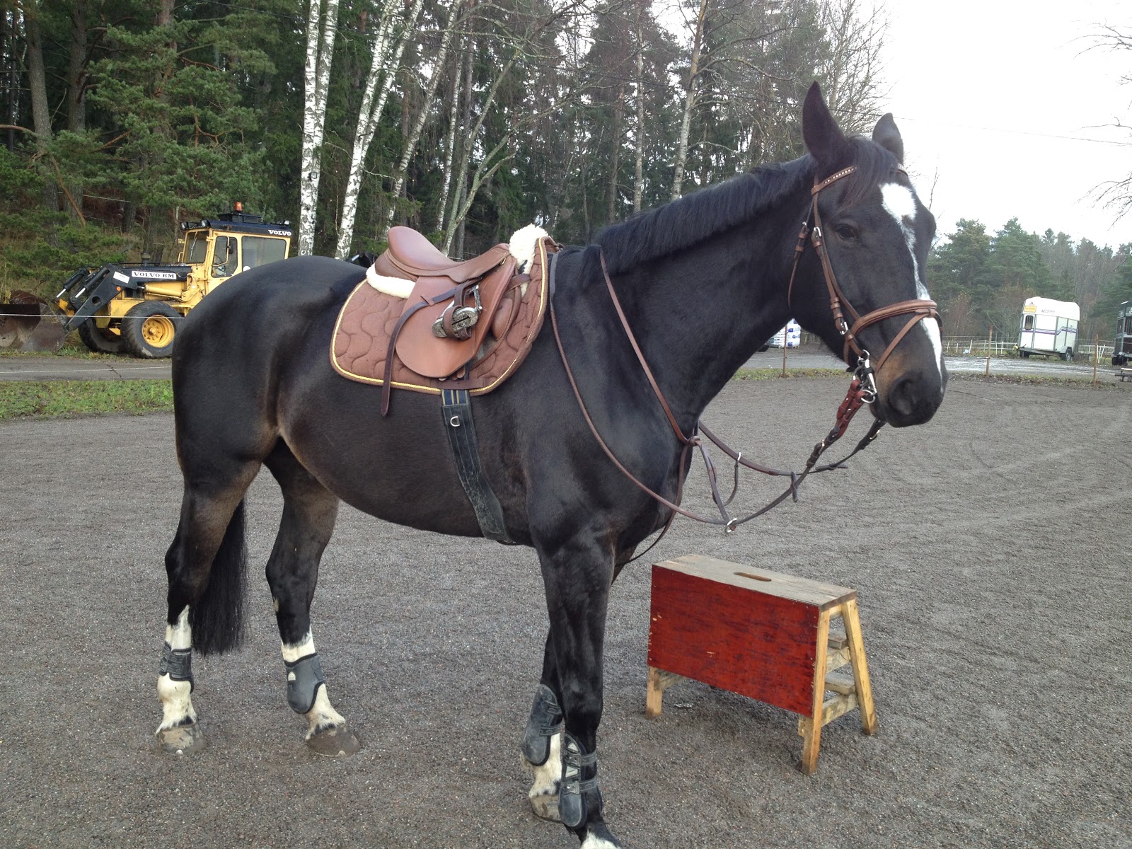 Jessica Pira: Hoppträning för Pontus westergren på onsdag at Runsten!!