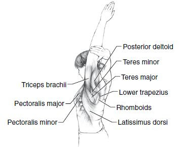 rasa yoga cafe...: Upper body Stretch!