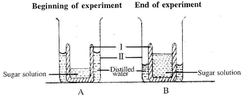 BECE 2013 Integrated Science Paper 2 Essay - The Thesis