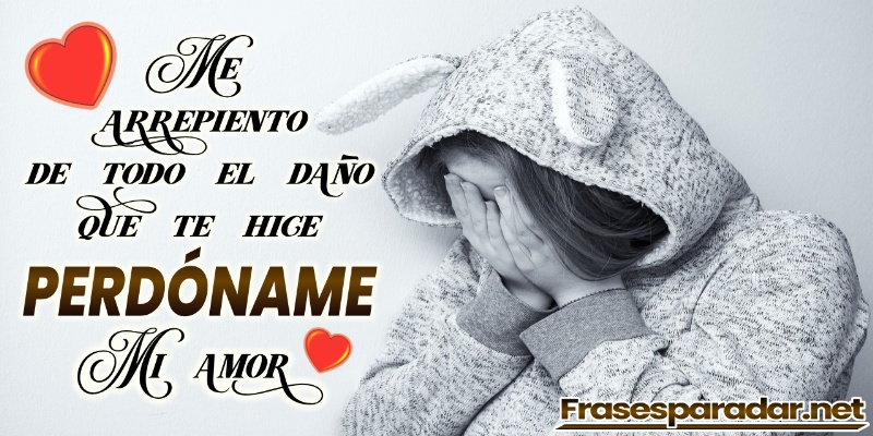 Carta De Amor Pidiendo Perdon