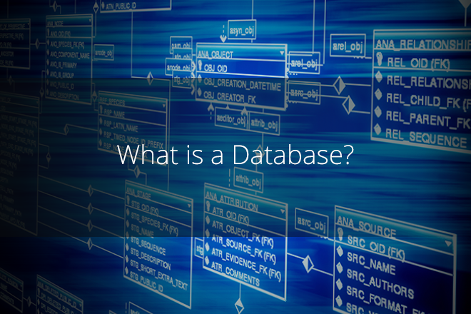 Apa itu Database? dan Jenis-jenis Database ~ MediaNetizen