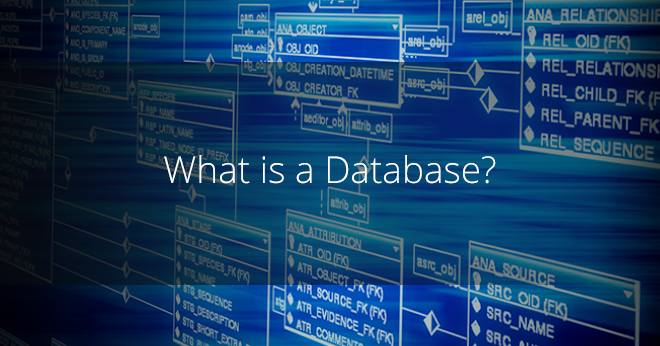 Apa itu Database? dan Jenis-jenis Database ~ MediaNetizen