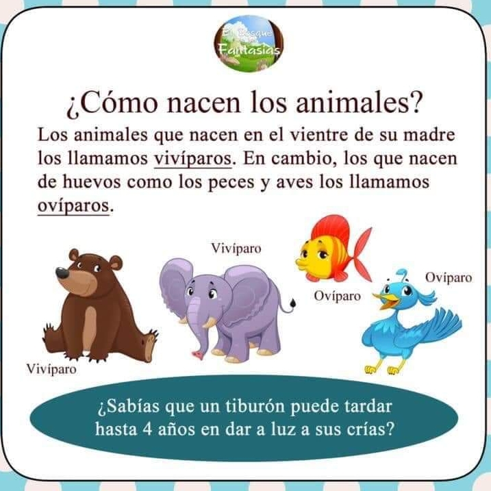 BLOG VIRGEN DE LORETO EDUCACIÓN INFANTIL: Repaso Unidad didáctica de ...