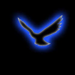 Sketch Ridge: Hawk animation