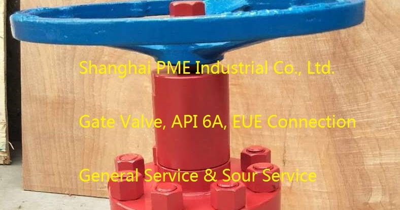 Oilfield Hoses & Flowline Control Products: PME API 6A Gate Valve, 2-9/ ...
