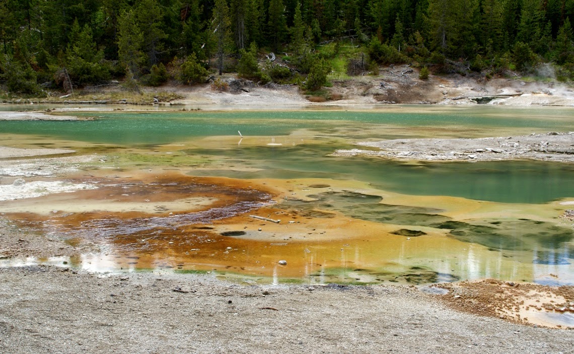 A photo, A thought............: Place: Colored extremophiles of ...
