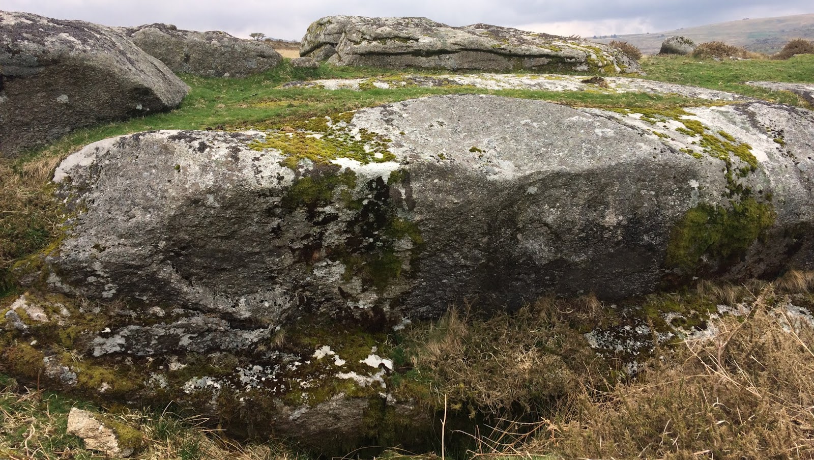 Max Piper - Tor Bagger: Dartmoor: Pew Tor and Heckwood Tor