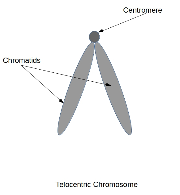 SEE Science Solution 2074 Set: AC Course: New