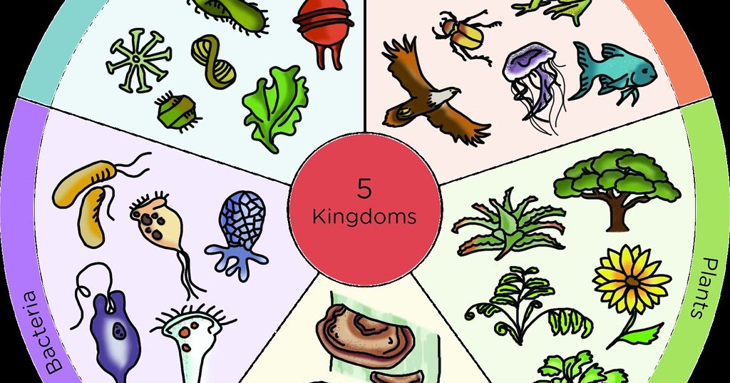 Apuntes de Biodiversidad: Reinos y Dominios