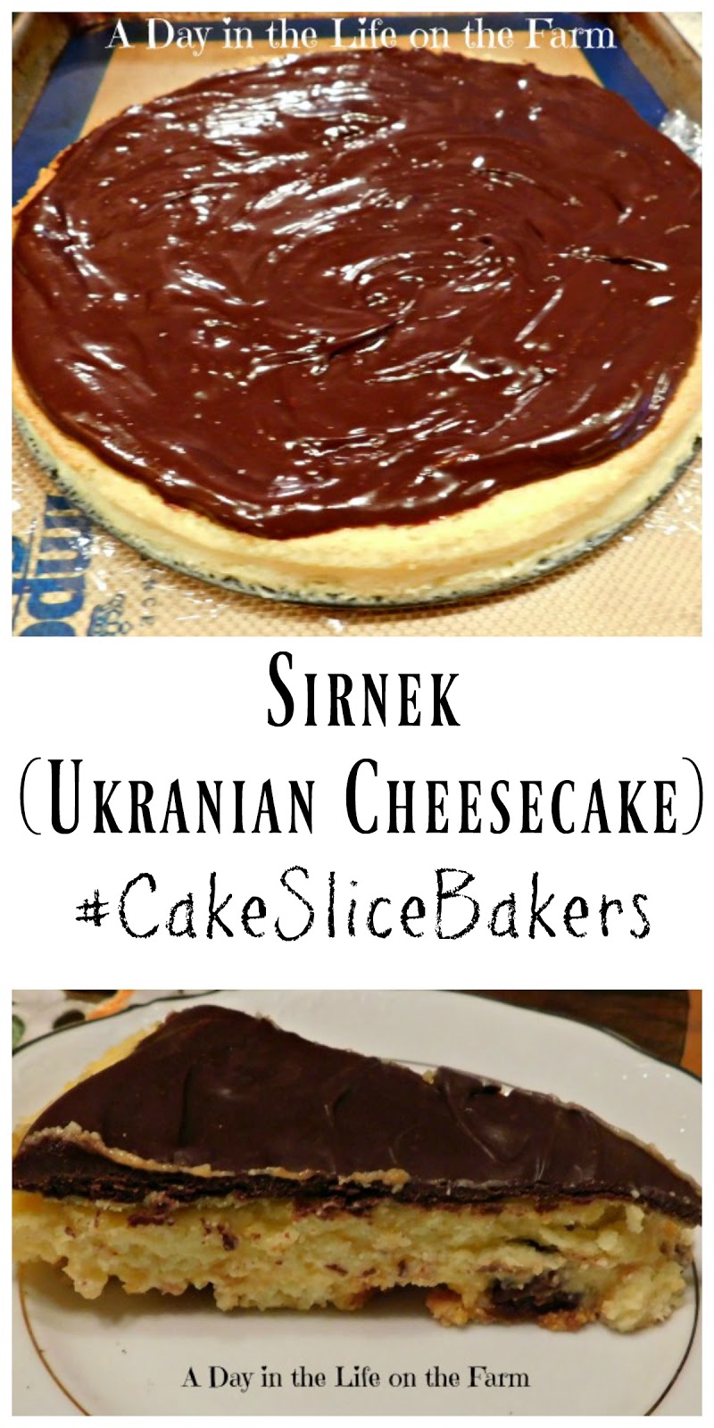 A Day in the Life on the Farm: Sirnek (Ukrainian Cheesecake) # ...