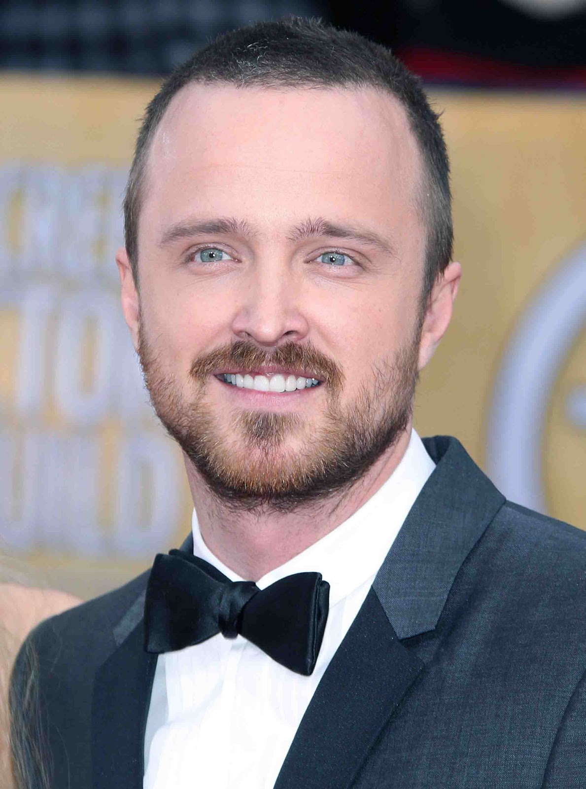 THE ANNUAL SCREEN ACTORS GUILD AWARDS