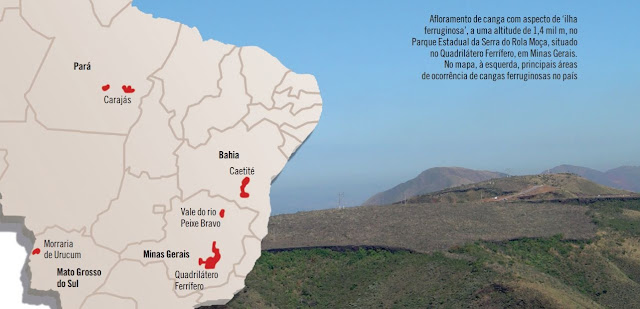 Onde as Plantas Crescem - Plintossolos