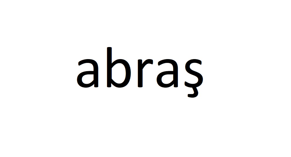 abraş - BilginCin