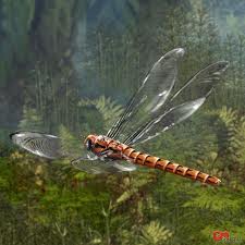 LAND OF THE DEAD: THE MAGNIFICENT, GIANT (AND UNFORTUNATELY EXTINCT ...