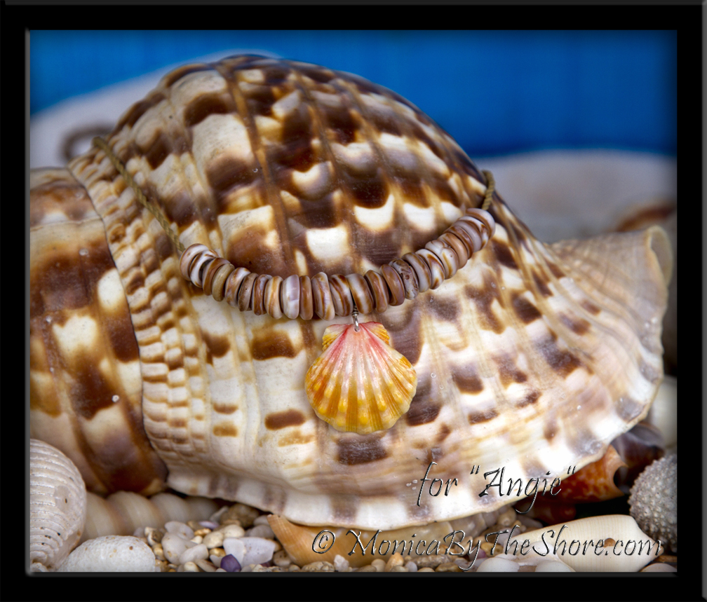 Monica's Blog: Sunrise Shell & Puka Shells FUN Jewelry ~ Aloha from Hawaii!